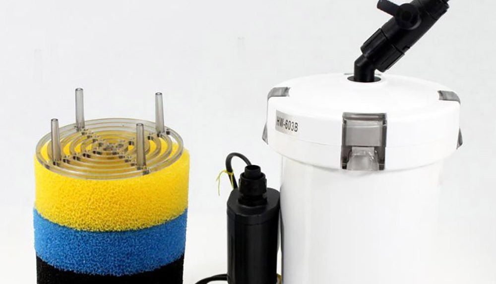 The Water Box – On Aquariums – Learn, Create, Inspire!